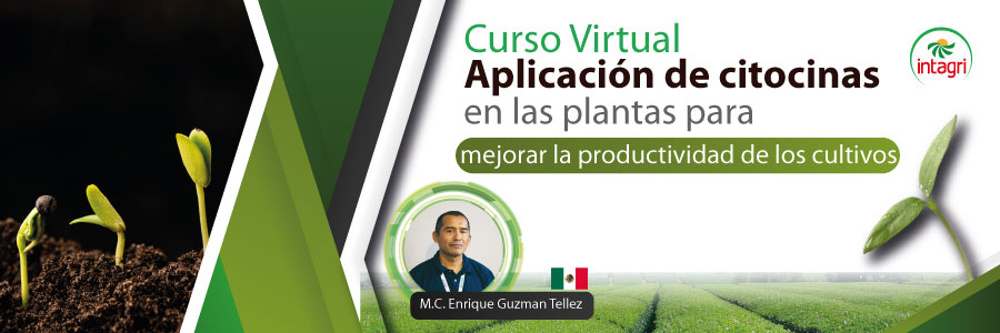 Curso Virtual Aplicación de Citocininas en las Plantas para mejorar la Productividad de los ...